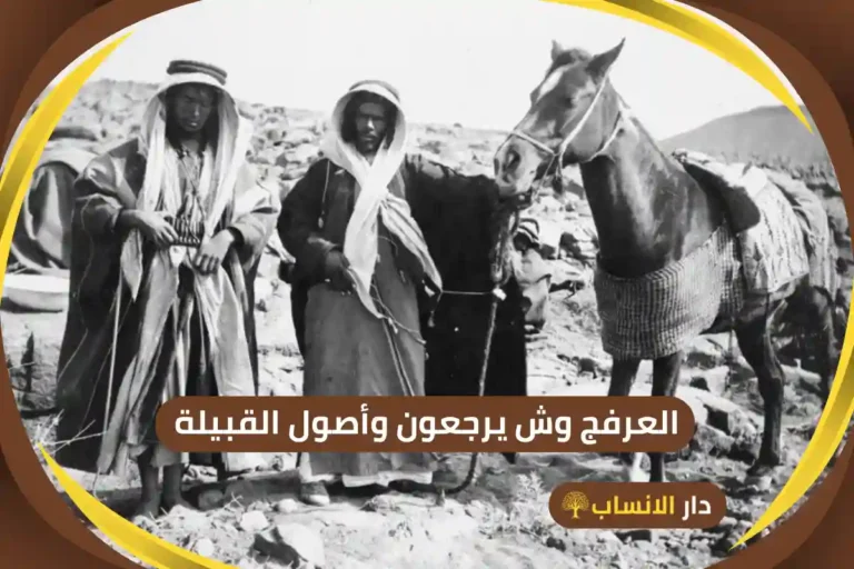 ماهي قبيلة بني تميم اصلها ونسبها واهم الشخصيات - دار الانساب