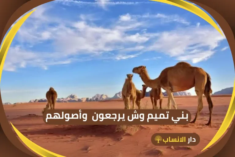 ماهي قبيلة بني تميم اصلها ونسبها واهم الشخصيات - دار الانساب